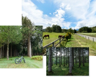 KISO ONTAKE SLOW TRIP〜E-BIKEで巡る霊峰〜 produced by YAMAP｜長野県木曽御嶽エリアをE-BIKEで巡る旅